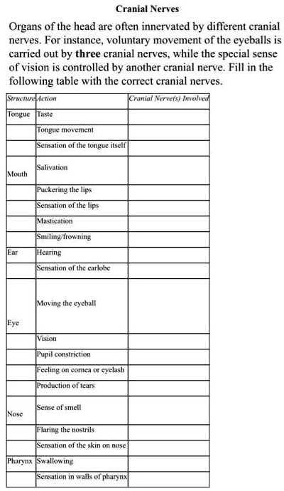 SOLVED: Please fill in the whole chart, thanks. Cranial Nerves Organs ...