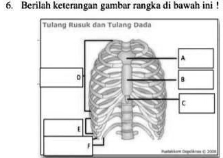 SOLVED: tolong jawab cepat..berikanlah keterangan rangka pada gambar tersebut..dari A sampai F ...
