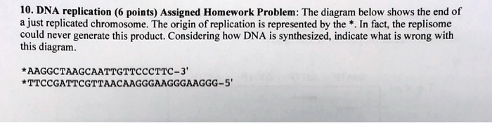 10. DNA replication (6 points) Assigned Homework Problem: The diagram ...