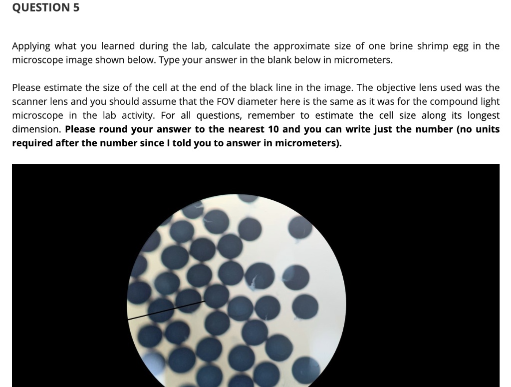 SOLVED: QUESTION 5 Applying what you learned during the lab, calculate ...