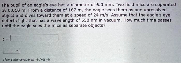 the pupil of an eagles eye has diameter of 60 mm two field mice are ...