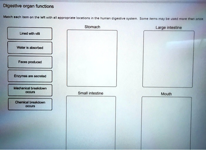 SOLVED: Digestive organ functions Match each item on the left with the appropriate locations in ...