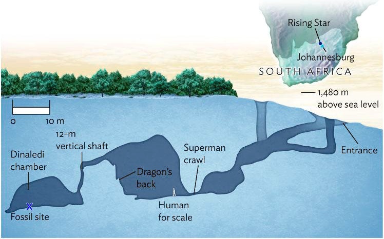 10 m Dinaledi chamber 12-m vertical shaft X Fossil site Dragon's back ...