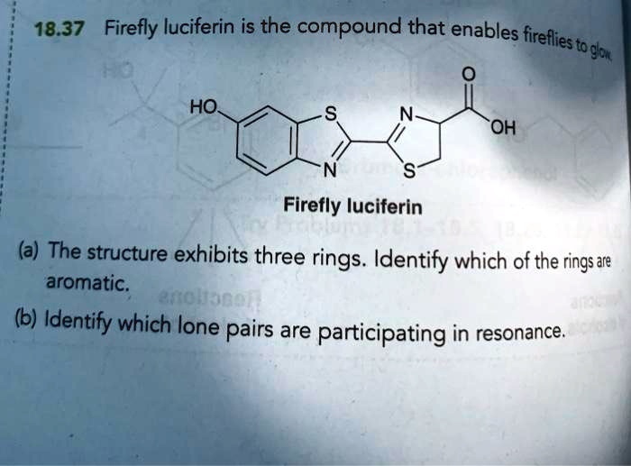 SOLVED: 18.37 Firefly luciferin is the compound that enables fireflies ...
