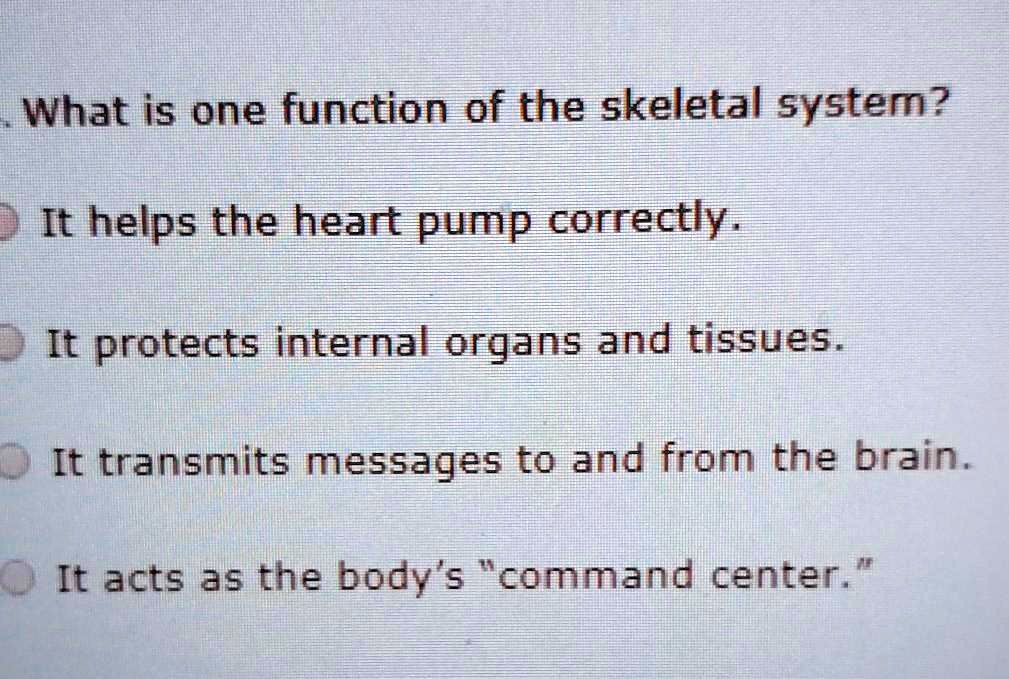 SOLVED: "What is one function of the Skeletal system?A. It helps the ...