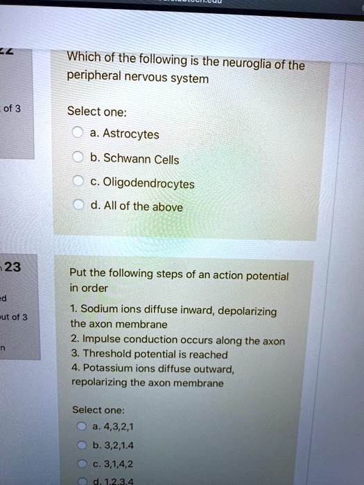 SOLVED:7" Which of the following is the neuroglia of the peripheral nervous system Select one ...