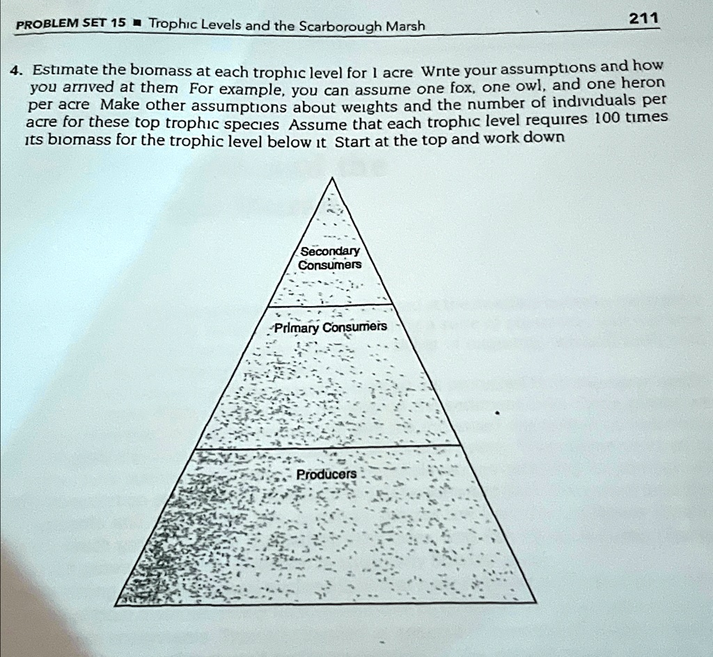 PROBLEM SET 15 Trophic Levels and the Scarborough Marsh 211 4. Estimate ...