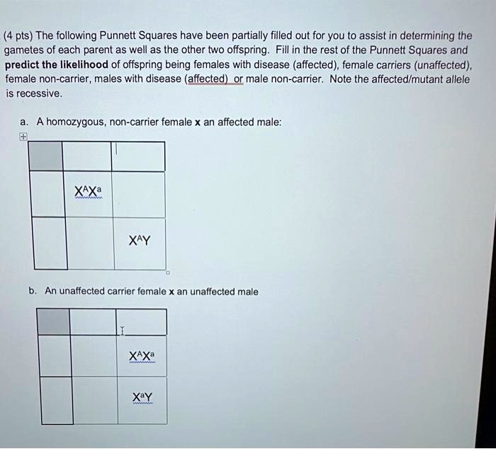 SOLVED: please help:) (4 pts) The following Punnett Squares have been ...