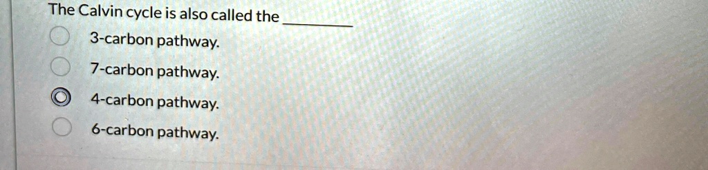 the calvin cycle is also called the 3 carbon pathway 7 carbon pathway 4 ...