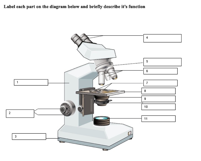 Label each part on the diagram below and briefly describe it's function 2 3 4 5 6 1 7 8 9 10 11