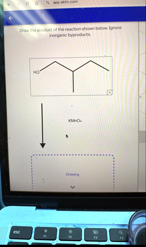 draw the product of the reaction shown below ignore inorganic byproducts ho kmno4 drawing 32427