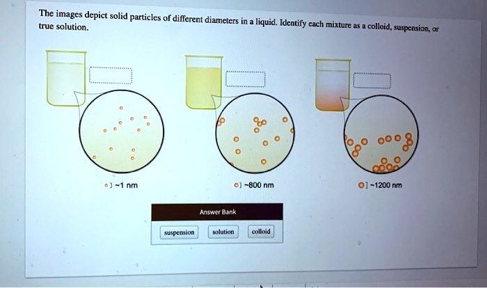 the images depict solid particles of diffcrent diameters in true ...