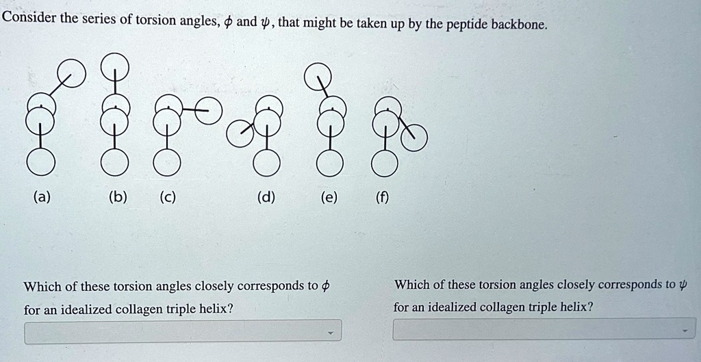 Solved Consider The Series Of Torsion Angles Phi And Psi That Might