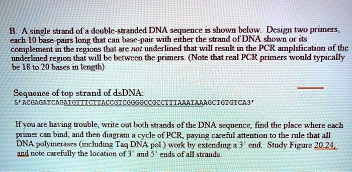 SOLVED: A single strand of a double-stranded DNA sequence is shown ...