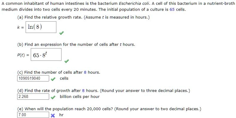 SOLVED: common inhabitant of human intestines is the bacterium ...
