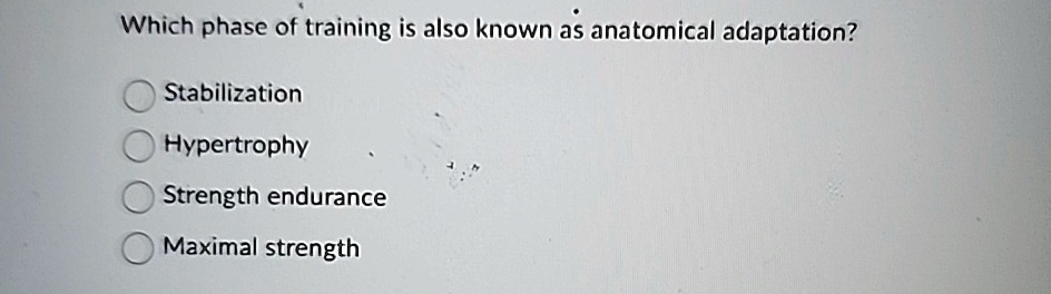 Which phase of training is also known as anatomical adaptation ...