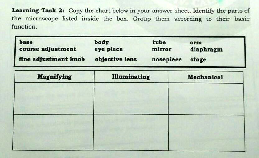 SOLVED: 'Learning Task 2: Identify the parts ofthe microscope listed ... SOLVED: 'Learning Task 2: Identify the parts ofthe microscope listed ...