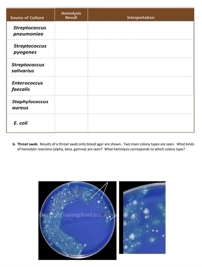 SOLVED: Hemolysis Result Source of Culture Interpretation Streptococcus ...