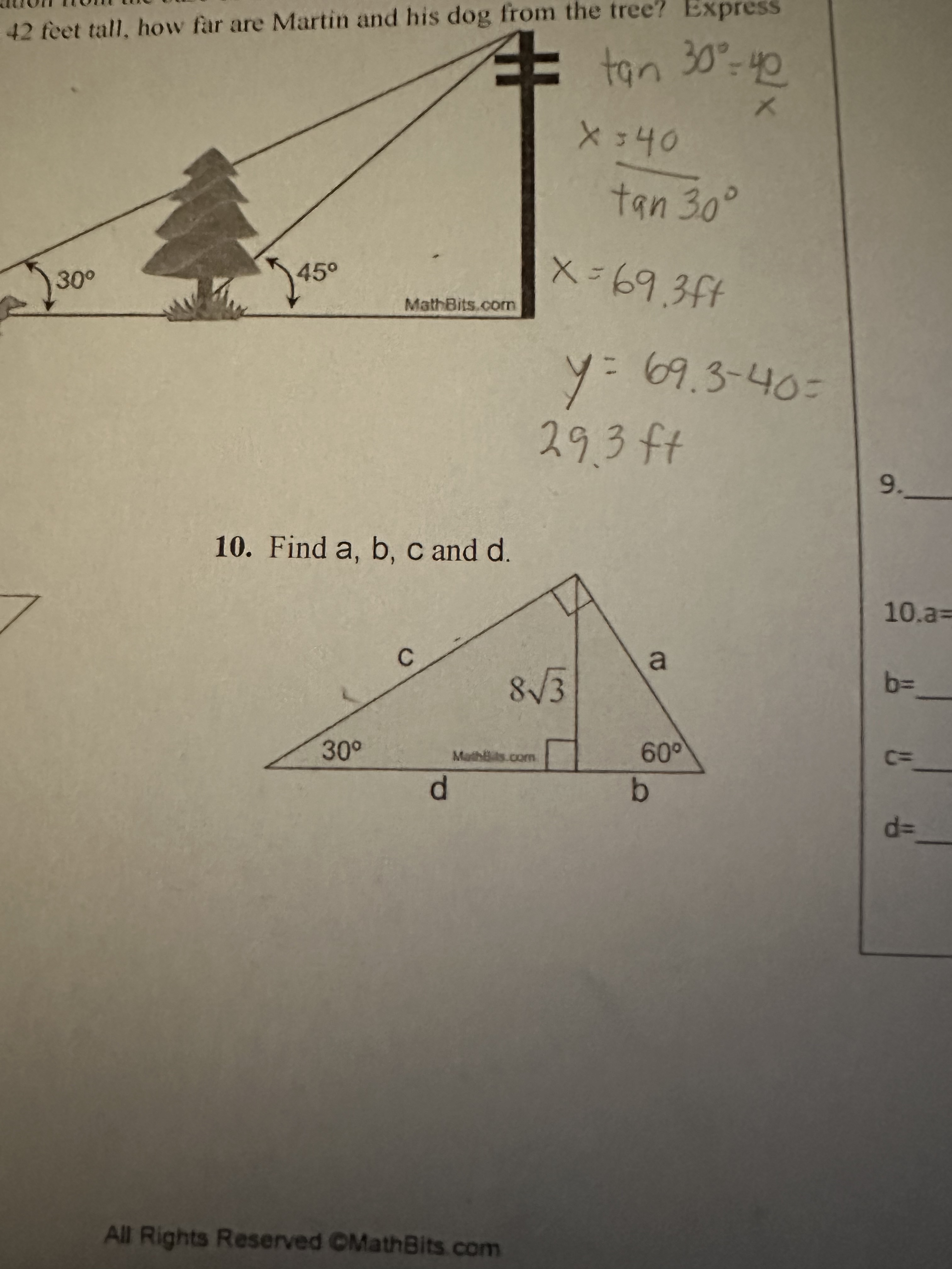 SOLVED: 42 feet tall, how far are Martin and his dog from the tree ...