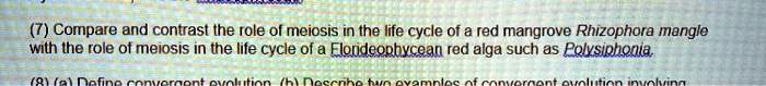 SOLVED: Compare and contrast the role of meiosis in the life cycle of a ...