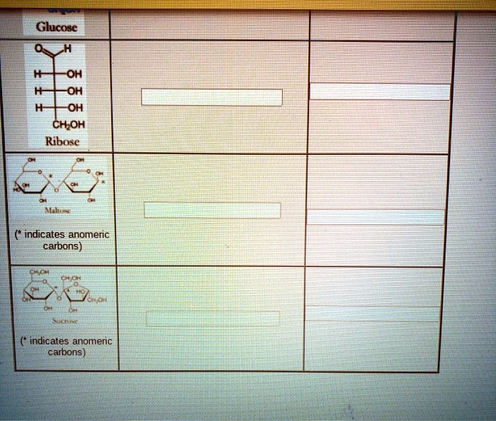 SOLVED: Glucose OH OH OH CHOH Ribose indicates anomeric carbons ...
