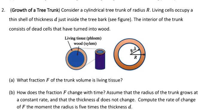 SOLVED: (Growth of Tree Trunk) Consider cylindrical tree trunk of ...