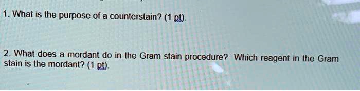 1 what is the purpose of a counterstain 1 pt 2 what does mordant do in ...