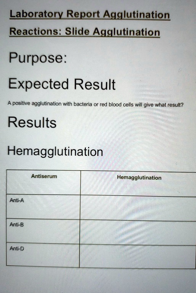 laboratory report agglutination reactions slide agglutination purpose ...