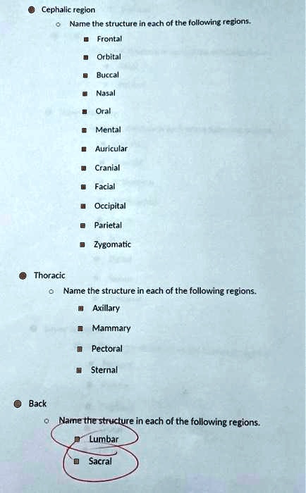 Cephalic region • Name the structure in each of the following regions ...