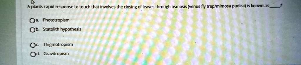 A plants rapid response to touch that involves the closing of leaves ...