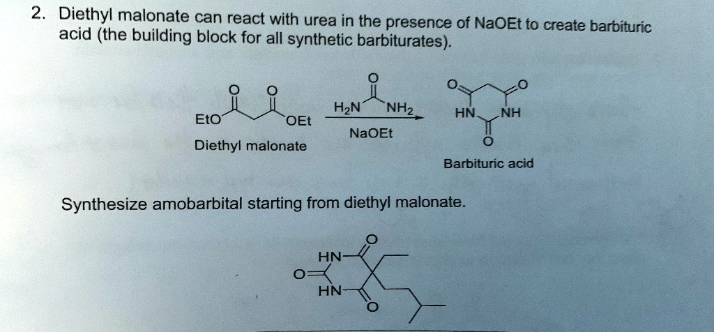 SOLVED: 2 Diethyl malonate can react with urea in the presence of NaOEt ...