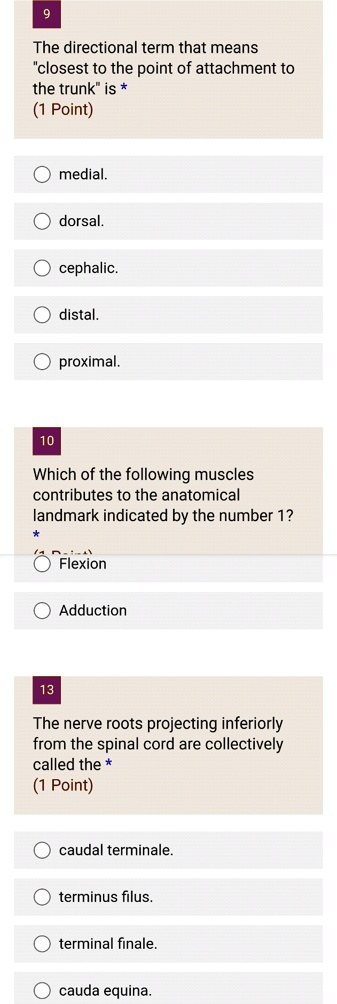 [GET ANSWER] 9 The directional term that means "closest to the point of attachment to the trunk ...