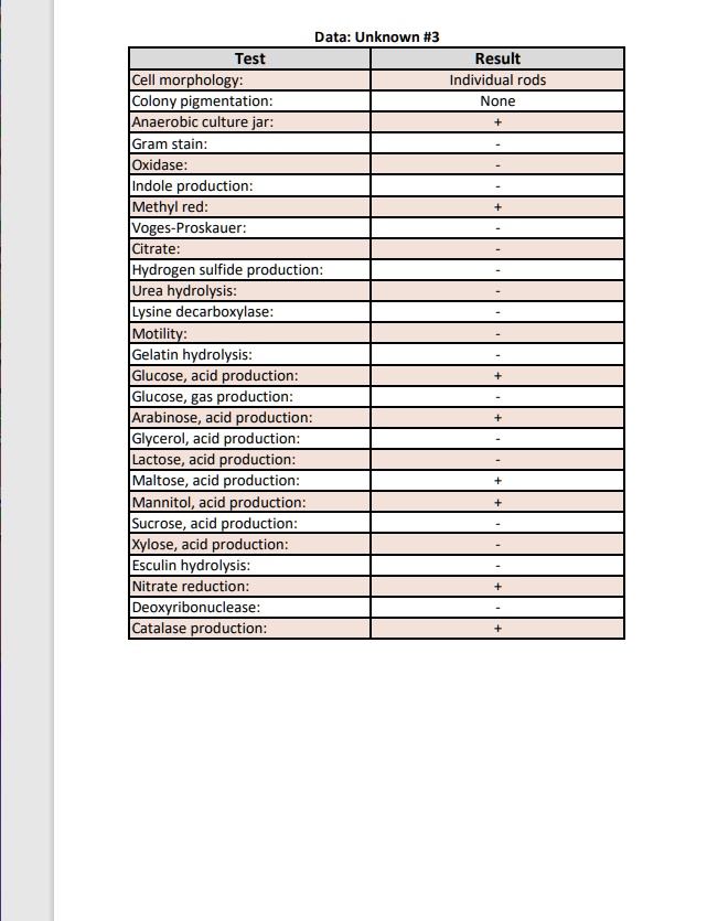data unknown 3 test cell morphology colony pigmentation anaerobic ...