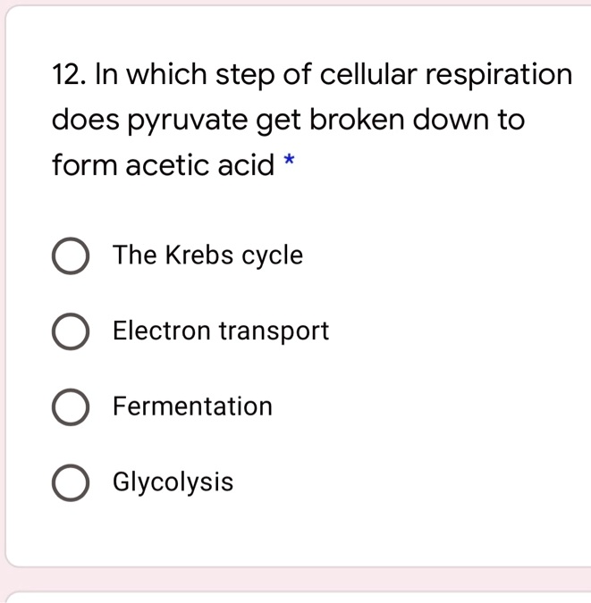 12 in which step of cellular respiration does pyruvate get broken down ...