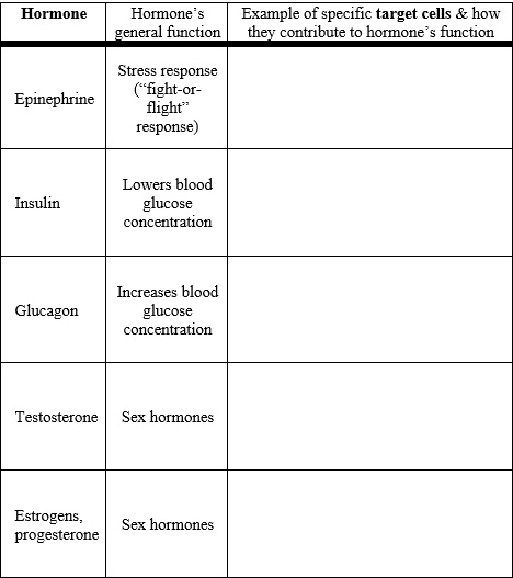 SOLVED: Hormones' general function Examples of specific target cells ...