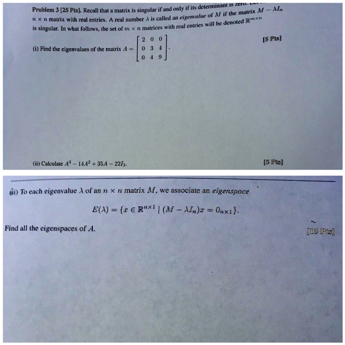 SOLVED:Pel Prcblen 3 [25 Fts} Recall that & matrix is singular if and only if its determinant ...