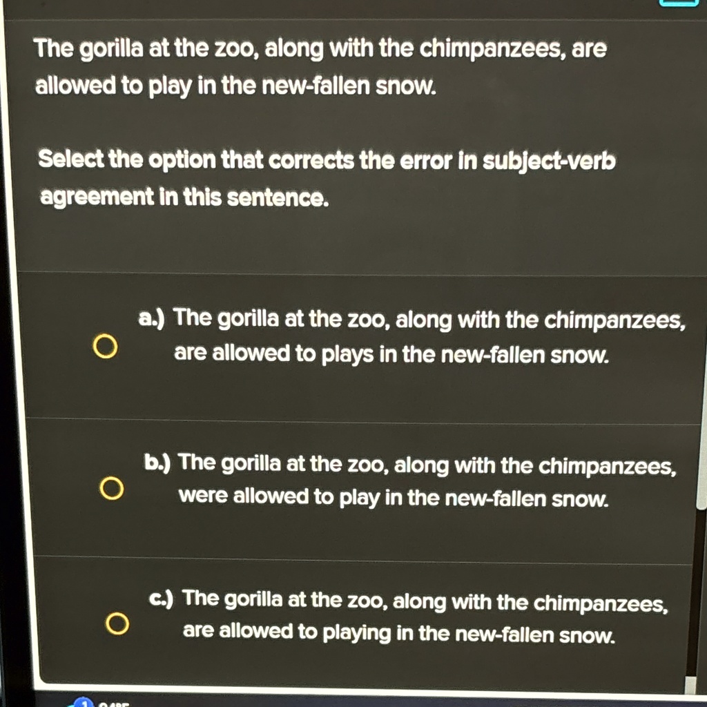 The gorilla at the zoo along with the chimpanzees are...