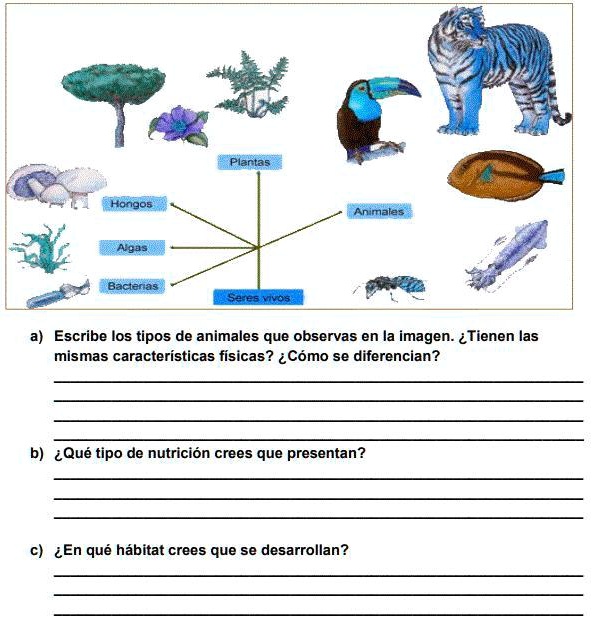 SOLVED: ayudenme pueden responder las preguntas plis Plartas Hongos ... SOLVED: ayudenme pueden responder las preguntas plis Plartas Hongos ...