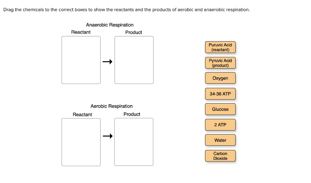 SOLVED: Drag the chemicals to the correct boxes to show the reactants ...