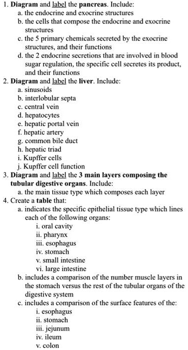 1. Diagram and label the pancreas. Include: a. the endocrine and ...