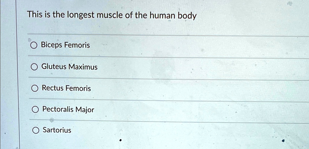This is the longest muscle of the human body q, Biceps Femoris Gluteus ...