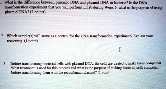 SOLVED: What is the difference betwecn genotic DNA and plasmid DNA in ...