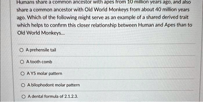 SOLVED: Humans share a common ancestor with apes from 6 million years ...