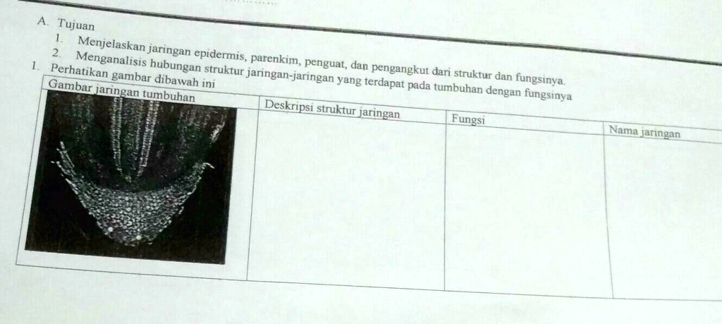 SOLVED: apa nama gambar jaringan diatas Tujuan Menjelaskan ... SOLVED: apa nama gambar jaringan diatas Tujuan Menjelaskan ...