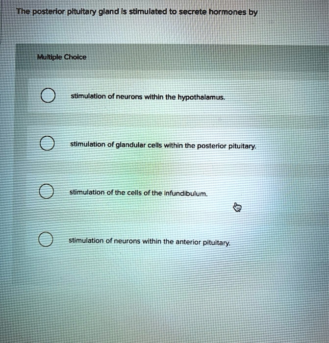 The Posterior Pituitary Gland Is Stimulated To Secrete Hormones By Multiple Choice Stimulation