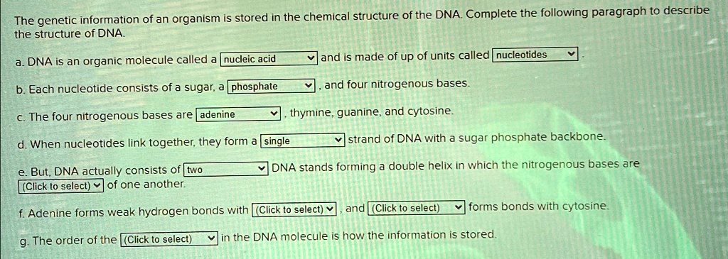 SOLVED: The genetic information of an organism is stored in the chemical structure of the DNA ...