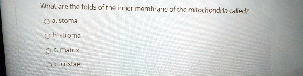 SOLVED: What are the folds of the inner membrane of the mitochondria ...