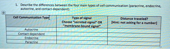 SOLVED: Describe the differences between the four main types of cell ...