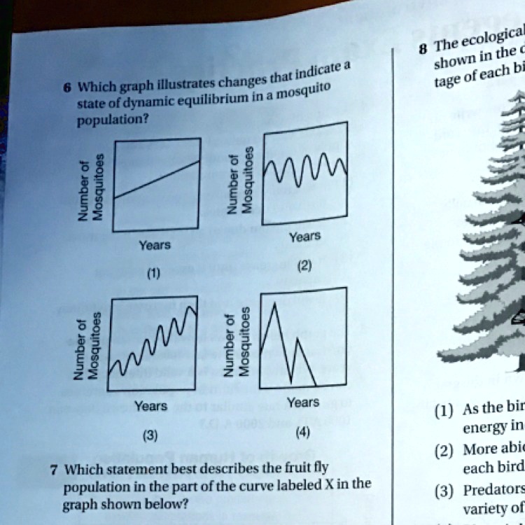 6 Which graph illustrates changes that indicate a state of dynamic ...