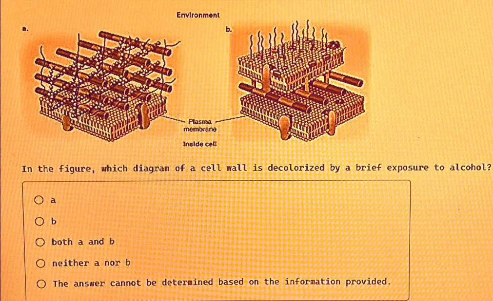 SOLVED: Environment Plasma membrane Inside cell In the figure, which ...